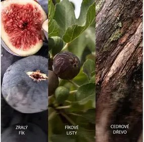 WoodWick Verdant Fig svíčka velká