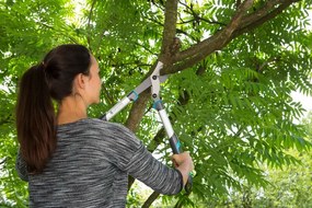© 2024 - 2025 GARDENA Nůžky na větve EnergyCut 600 B
