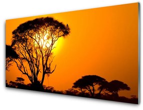Obraz na skle Strom Slunce Příroda 100x50 cm