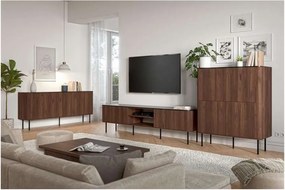 TV stolek Linos II, ořech warmia / černá