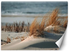 Fototapeta, Pláž Mořské duny Krajina - 300x210 cm