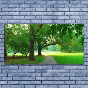 akrylový obraz Stezka Stromy Příroda 120x60 cm