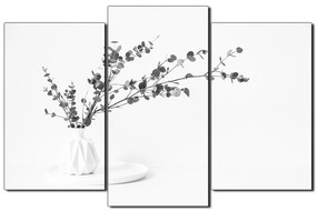 Obraz na plátně - Větev eukalyptu v bílé váze na bílém pozadí 1272QC (105x70 cm)