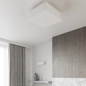 Sollux Lighting Stropní svítidlo LOKKO 45 bílé