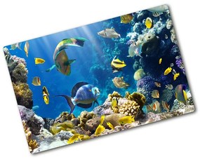 Wallmuralia Kuchyňská deska skleněná Korálový útes 80x52 cm