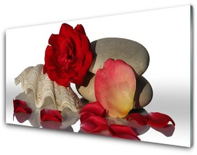 Obraz na skle Růže Plátky Mrtvá Příroda 100x50 cm