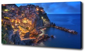 Wallmuralia Foto obraz na plátně Manarola Itálie 100x50