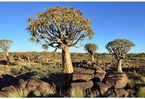 DIMEX | Samolepicí vliesová fototapeta na zeď Namibie MA-5-0103 | 375 x 250 cm | modrá, béžová, hnědá