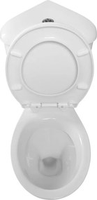 Aqualine Sapho, CLIFTON Rohový WC kombi mísa s nádržkou včetně splachovací soupravy, bílá
