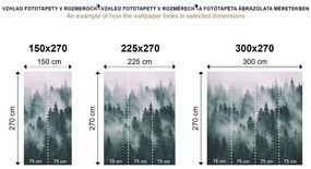 Samolepící fototapeta zasněžené černobílé borové stromy