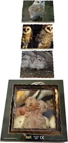 Just Jigsaws 647 Sova a její životní cyklus - dřevěné vrstvené puzzle