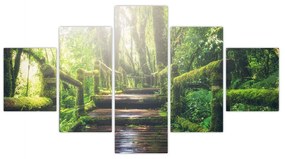 Obraz - dřevěné schody v lese (125x70 cm)