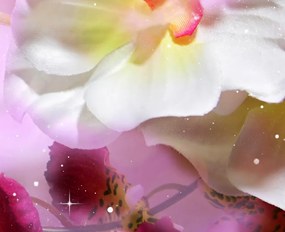 Malvis ® Vícedílný obraz - Orchidej fantazie Velikost: 90x60 cm
