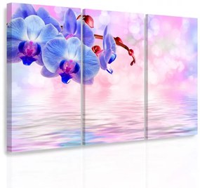 Malvis ® Vícedílný obraz - Modrá orchidej Velikost: 150x100 cm