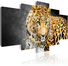 Obraz - Green-eyed leopard