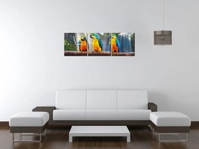 Gario Obraz s hodinami Barevní papoušci - 3 dílný Rozměry: 90 x 70 cm