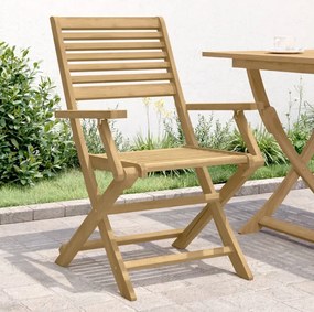 vidaXL Skládací zahradní židle 2 ks 54,5x61,5x86,5 cm masivní akácie [365737]