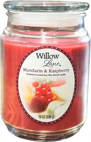 Sójová Svíčka Willow Mandarin&raspberry