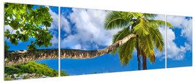 Obraz palmy a pláže (170x50 cm)