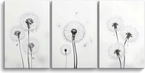 Obraz na plátně Obrazy do obývacího pokoje Moderní triptych Černobílý 60x120 cm