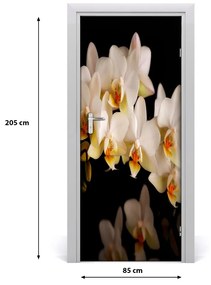 Fototapeta samolepící Orchidej 85x205 cm