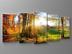 Liox Obraz pěšina z lesa Rozměr: 250 x 110 cm