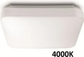 LED nástěnné a stropní svítidlo Philips Mauve neutrální bílá 31110/31/P3
