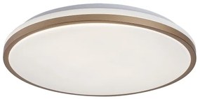 Rabalux 75058 - LED Koupel. stropní svítidlo SLAVA LED/18W/230V IP44 pr. 34 cm