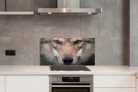 Skleněný panel wolf Eyes 120x60 cm