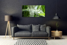 akrylový obraz Tráva Rosa Kapky Rostlina 100x50 cm