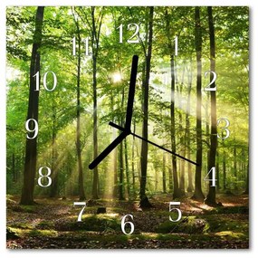 Nástenné skleněné hodiny Lesní příroda 30x30 cm