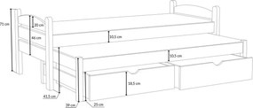 Dětská postel z masivu borovice PATRICIE s přistýlkou a šuplíky - 200x90 cm - PŘÍRODNÍ BOROVICE
