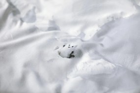 Povlečení Hayka sníh dvojité 160 x 200 cm