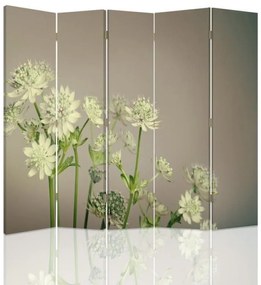 Ozdobný paraván Polní květiny Rostliny - 180x170 cm, pětidílný, klasický paraván