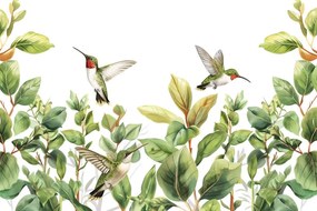 Samolepící tapeta kolibříky a listy