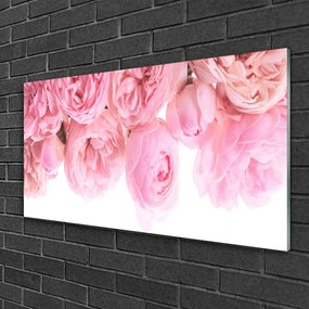 Obraz na skle Růže Květiny Rostlina 100x50 cm