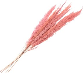 Dekorace růžová sušená květina - 100 cm