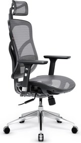 Ergonomická kancelářská židle ze síťoviny, černý-šedý: Diablo V-Basic