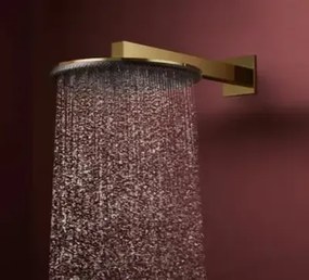 Hansgrohe Raindance Alive S - Hlavová sprcha | průměr 30 cm | 2 proudy