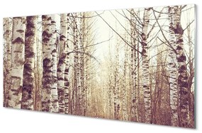 akrylový obraz stromy 100x50 cm