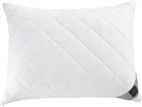 XXXLutz POLŠTÁŘ POD HLAVU, 40/80 cm Billerbeck - Polštáře pod hlavu - 003279065002