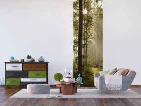 Vliesová fototapeta na zed' Prosluněný Les | 90 x 270 cm | DFTNVL3712