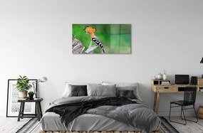 Obraz na skle Strom barevný papoušek 140x70 cm