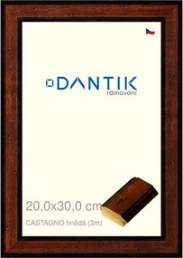 DANTIK rámeček 20x30 | CASTAGNO hnědá (Sklo Čiré)