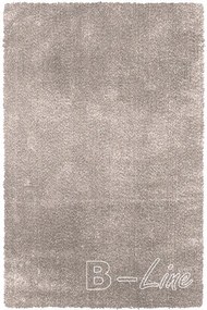Kusový koberec Gala 01VVV 200 x 290 cm