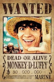 Plakát, Obraz - One Piece - Wanted Monkey D. Luffy, (61 x 91.5 cm)