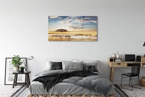 akrylový obraz Zebra mraky strom 125x50 cm