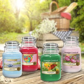 Yankee Candle - vonná svíčka Beach Walk (Procházka po pláži) 623g