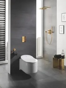 Grohe Rainshower Cosmopolitan - Hlavová sprcha Cosmopolitan 310 s rame