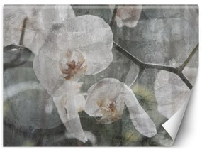 Fototapeta, Květy orchidejí - retro - 150x105 cm